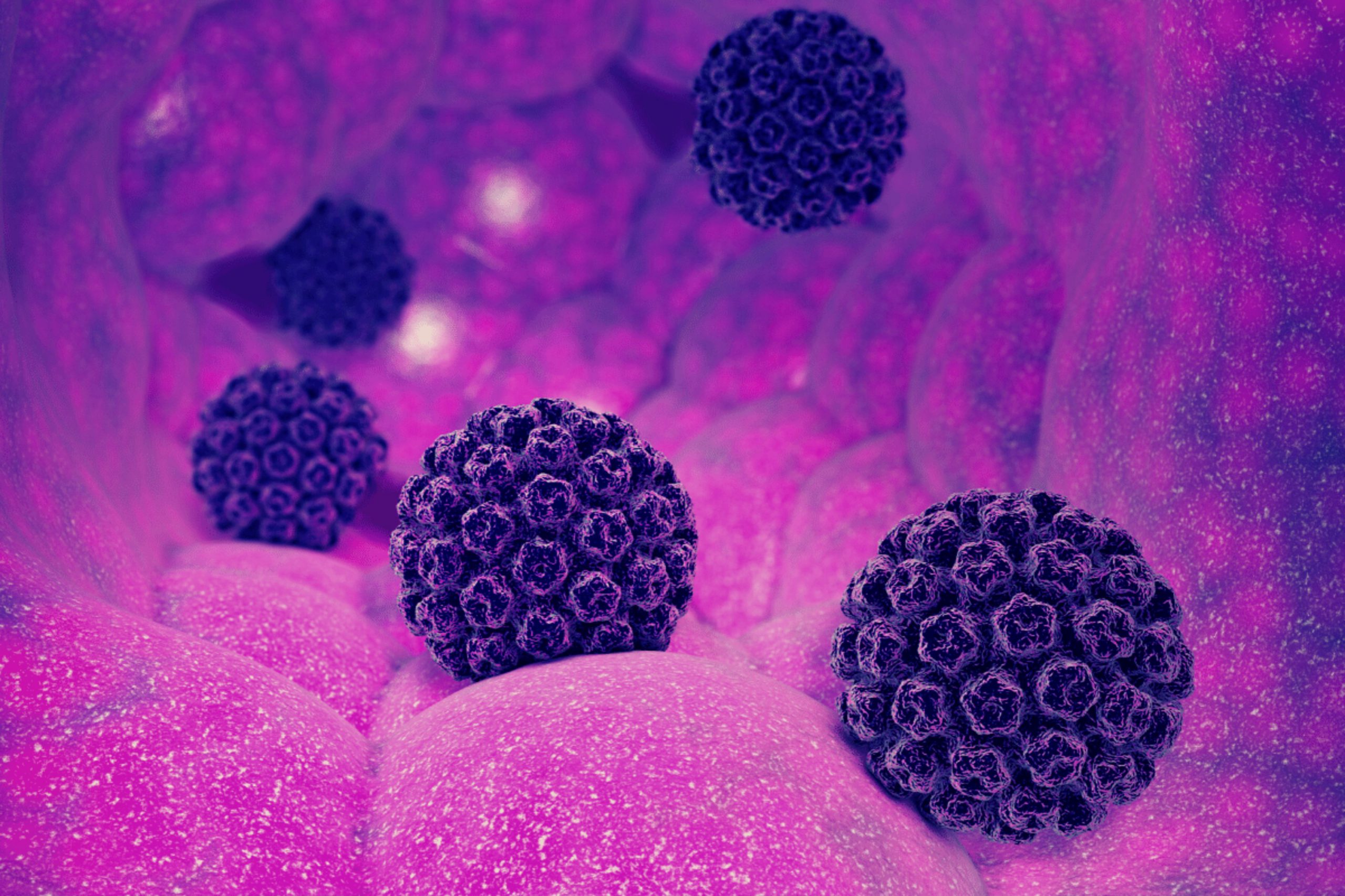 HPV Genotype Screening Predicts Risk of Cervical Cancer